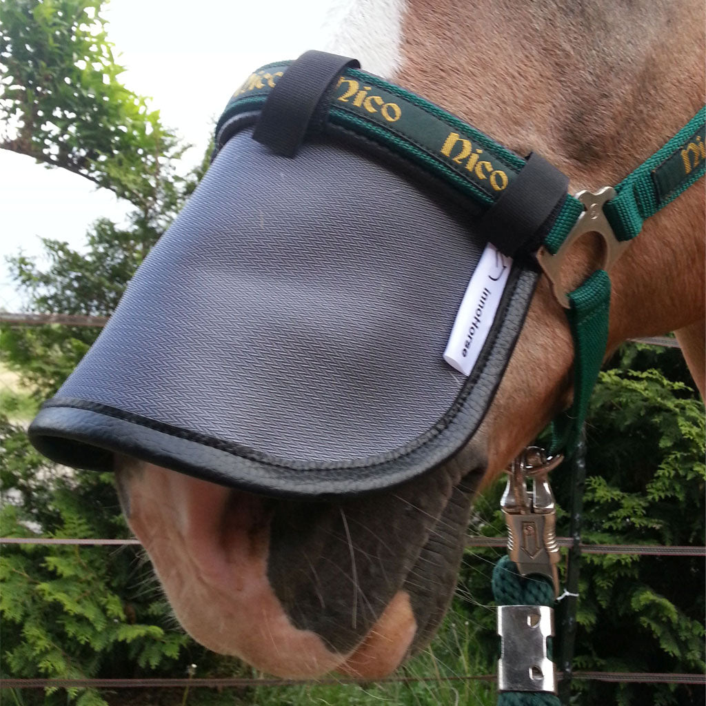 Nostril nets for horses - differences and areas of application – innoHorse