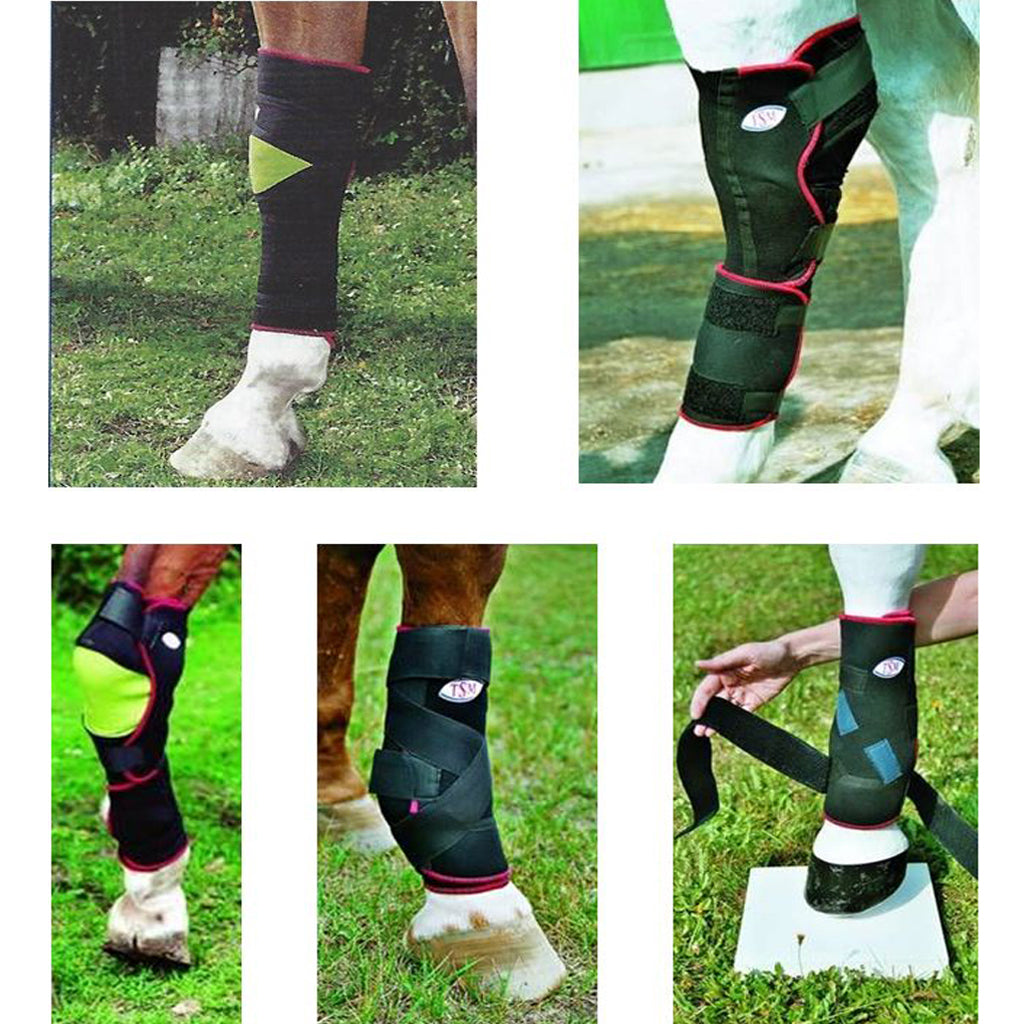 TSM joint bandages for horses from innoHorse