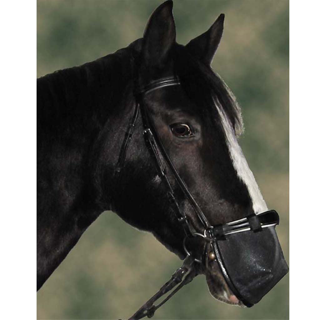 innoHorse nostril net “Nose Cover” for dropped Noseband