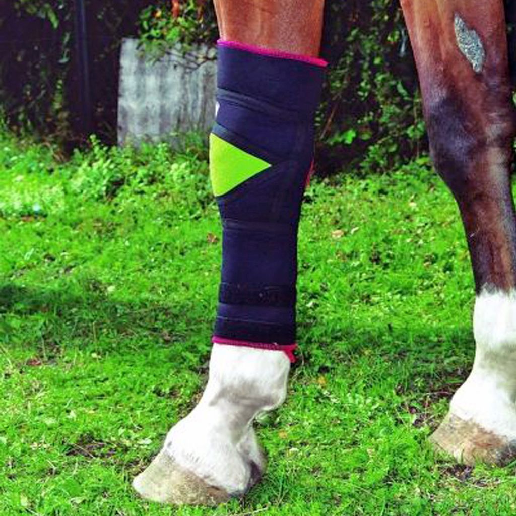 TSM padded bandage for the knee joint in horses – innoHorse