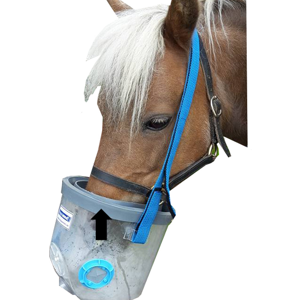 Seal small horse pony Shetty silicone for ultrasonic contentor Air One ...