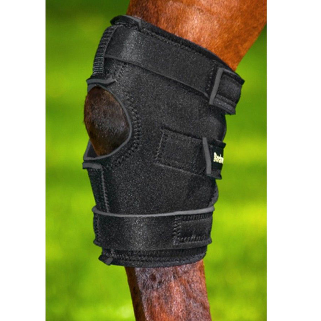 Back on Track ankle protectors with cutout – innoHorse