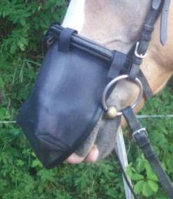 innoHorse nostril net “Nose Cover” for english/combined Noseband